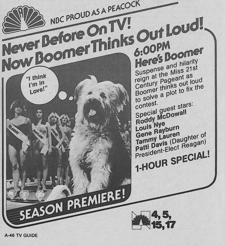 Here’s Boomer (1980) – Forgotten TV